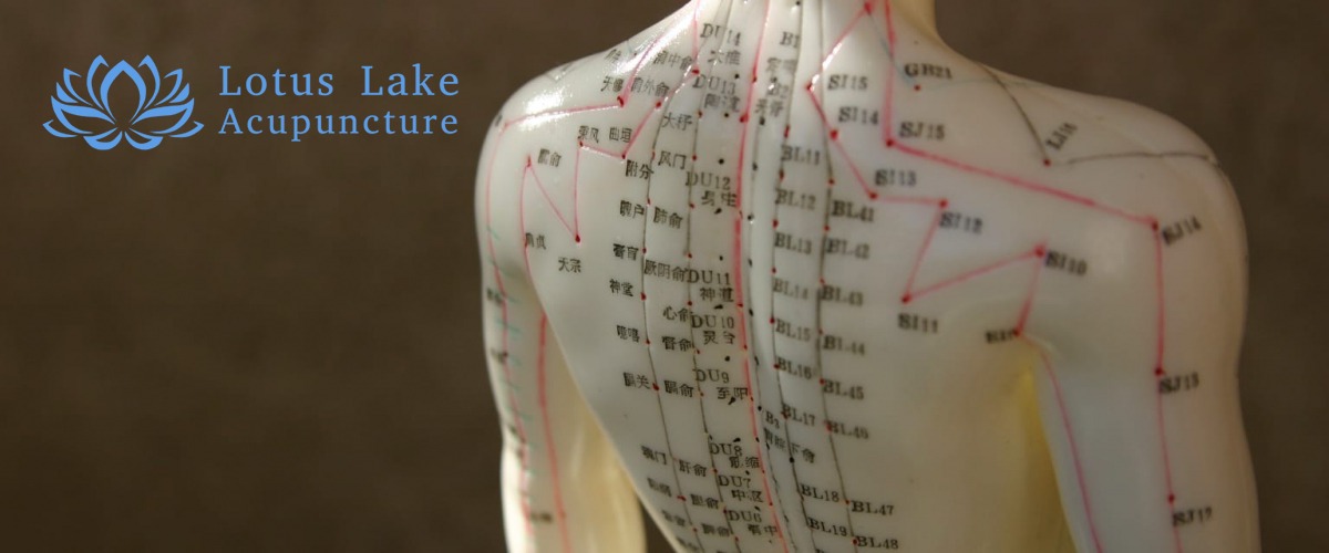 Learn More About Lotus Lake Acupuncture Team